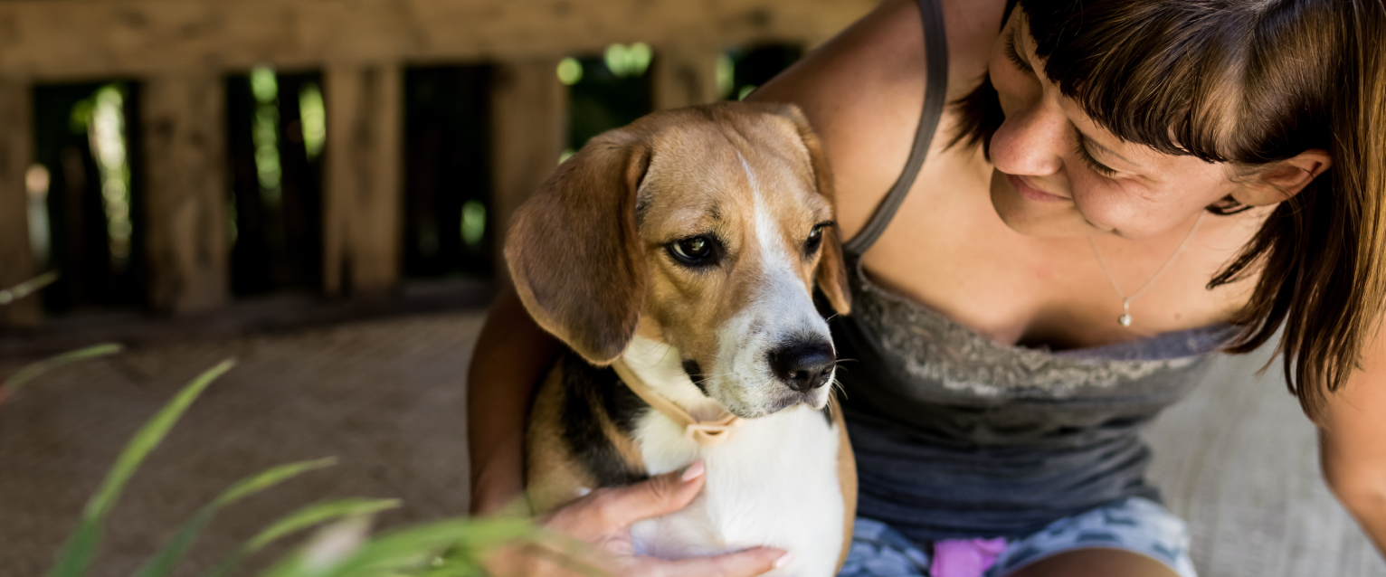 Dog-friendly Birmingham: Things to Do in Birmingham With a Dog ...