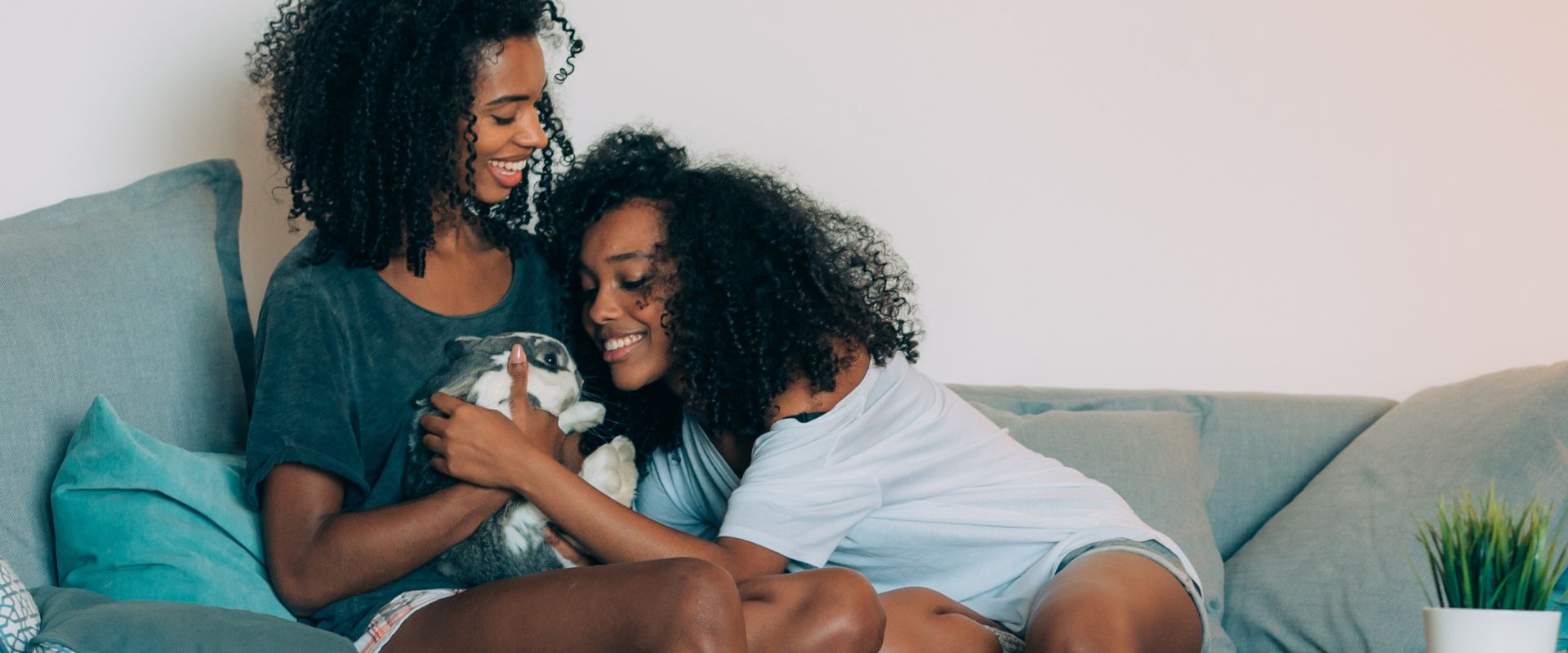 Preparing your Home for a House Sitter | TrustedHousesitters.com