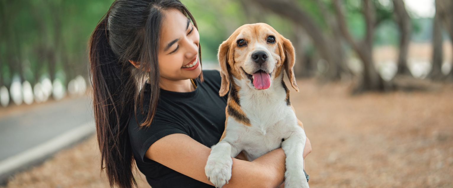 Quotes on Loving Dogs | TrustedHousesitters.com