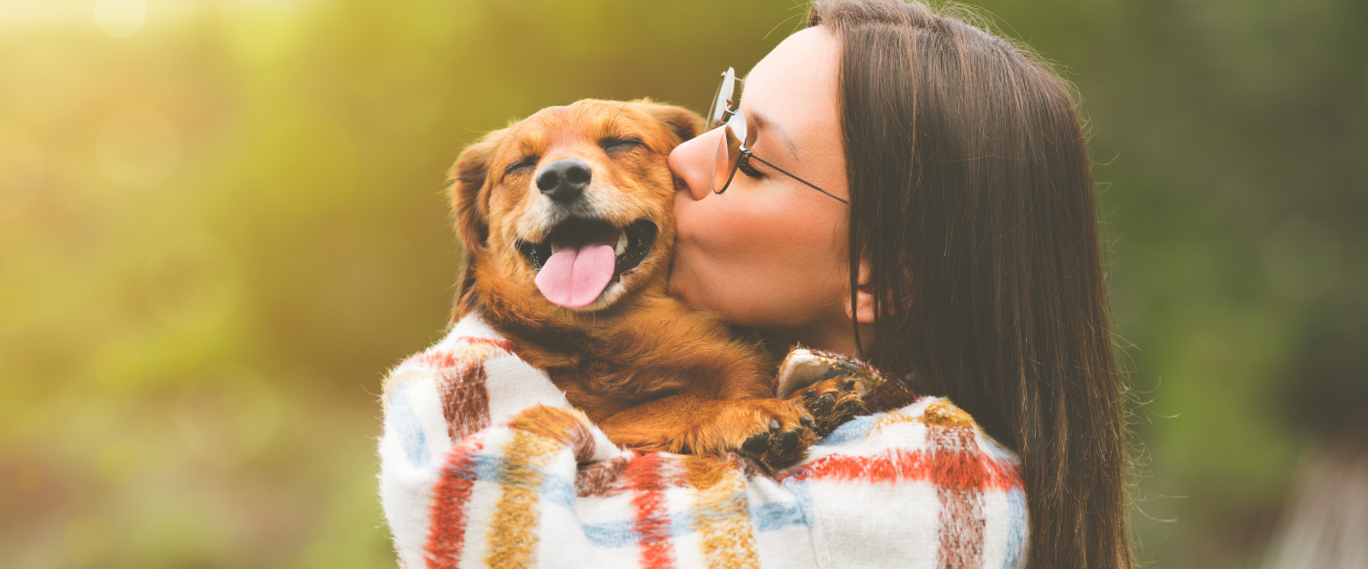 Quotes on Loving Dogs | TrustedHousesitters.com