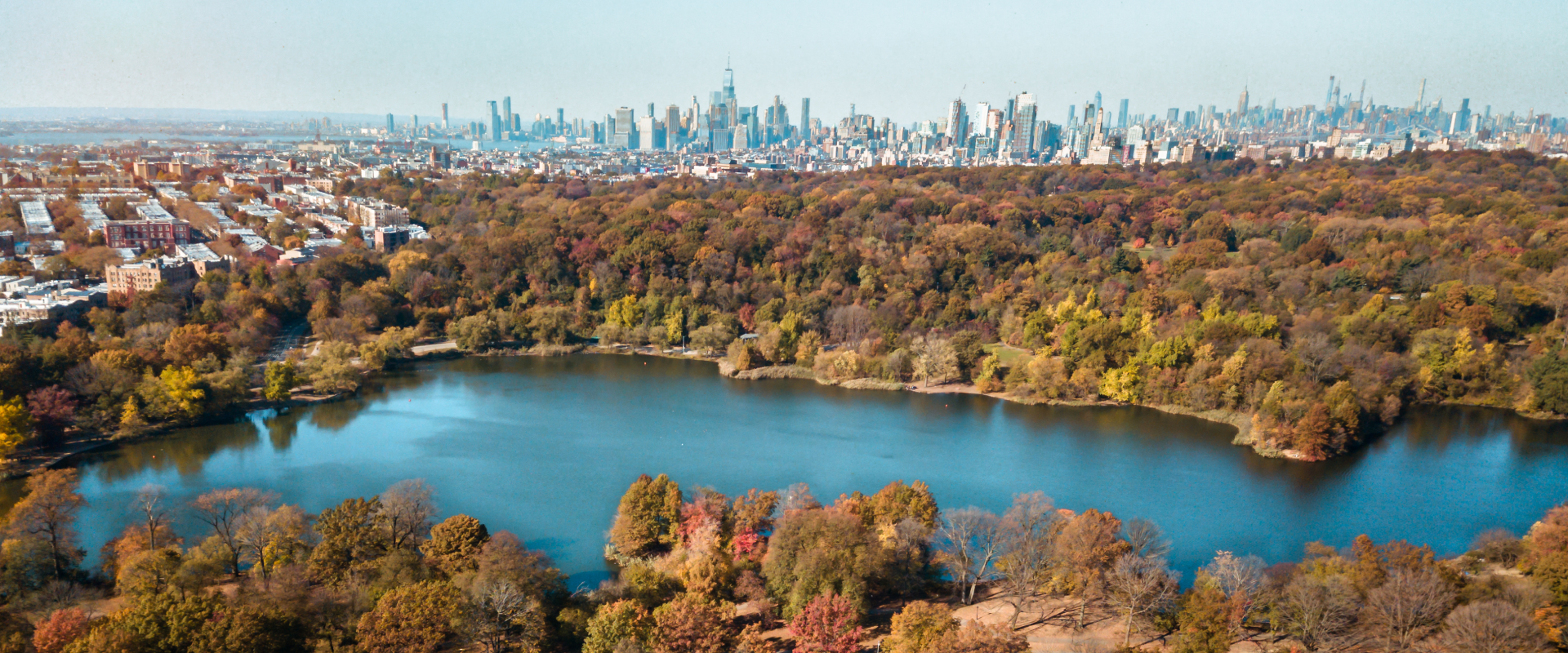 Dog-Friendly Brooklyn: Restaurants, Beaches, Cafes & More ...