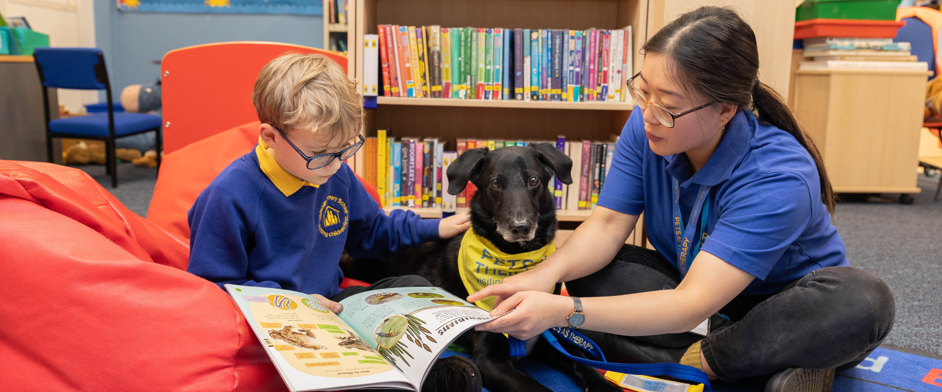 Pets As Therapy - the joy of volunteering with your dog ...