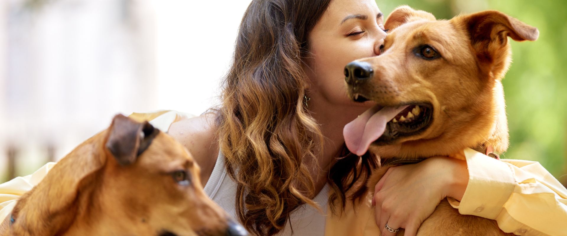 Dog Sitting Rates Explained | TrustedHousesitters.com