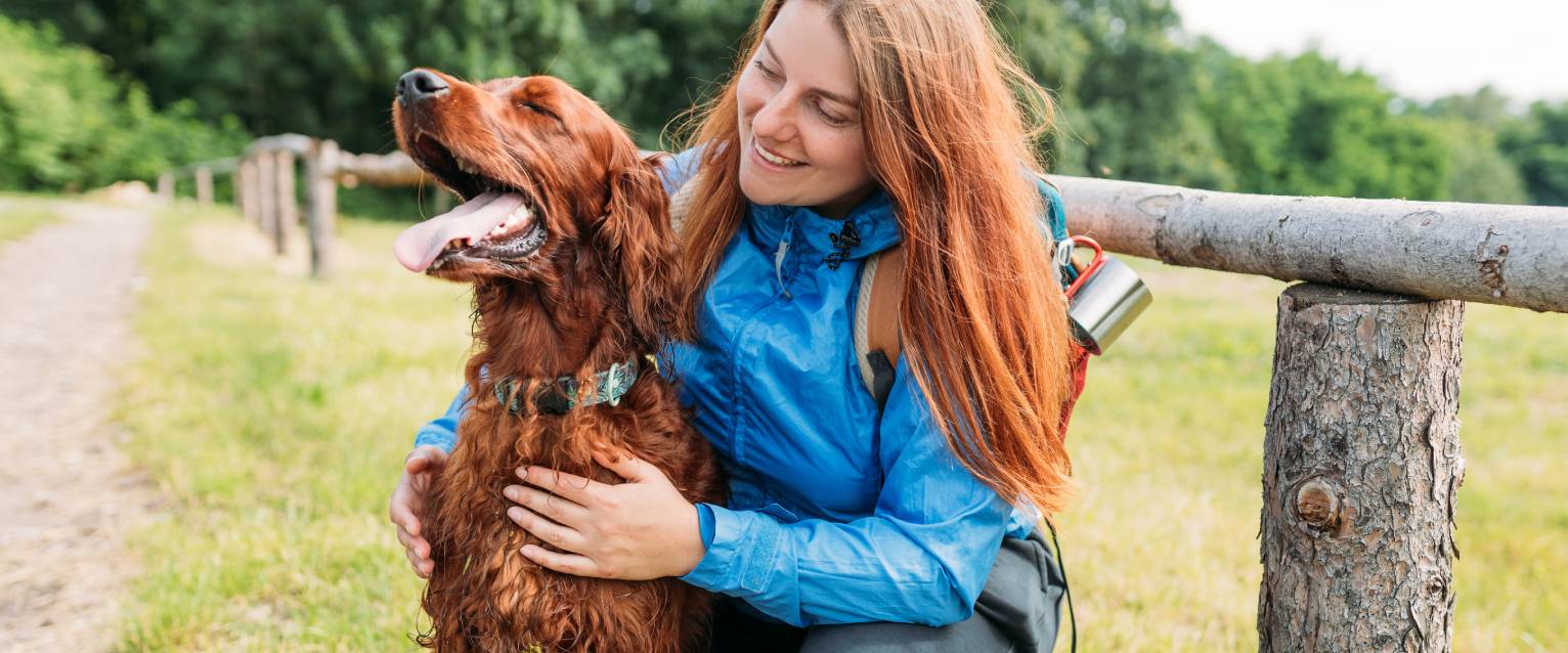 Dog Friendly Guide to Perth: Things to Do in Perth with a Dog ...