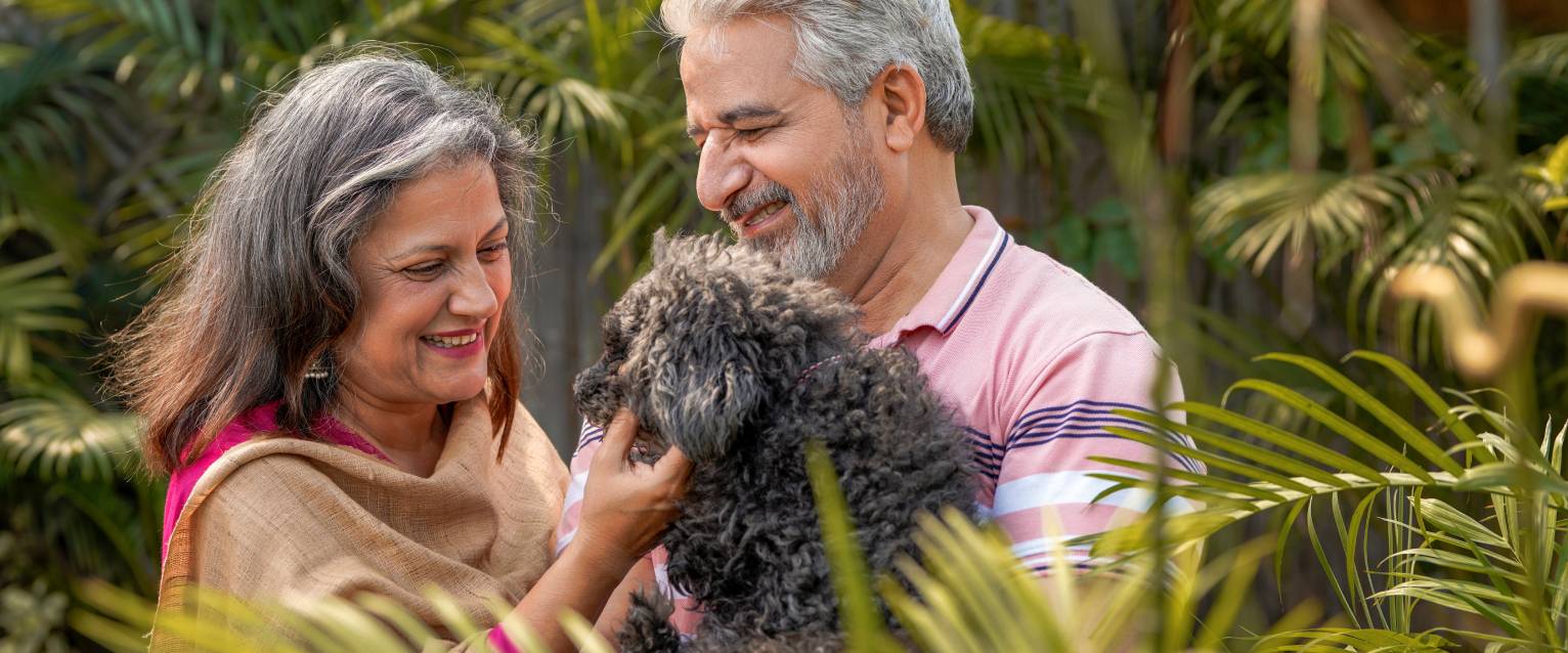 Dog Friendly Guide to Perth: Things to Do in Perth with a Dog ...