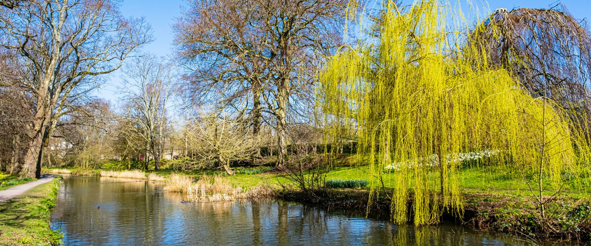 Dog-Friendly Cardiff Guide | Dog-Friendly Pubs Cardiff ...