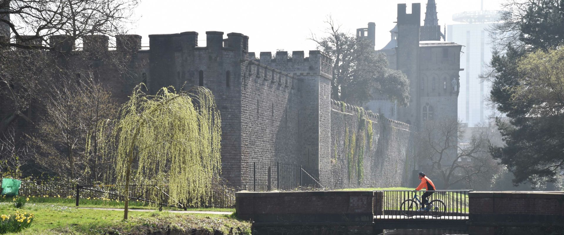 Dog-Friendly Cardiff Guide | Dog-Friendly Pubs Cardiff ...