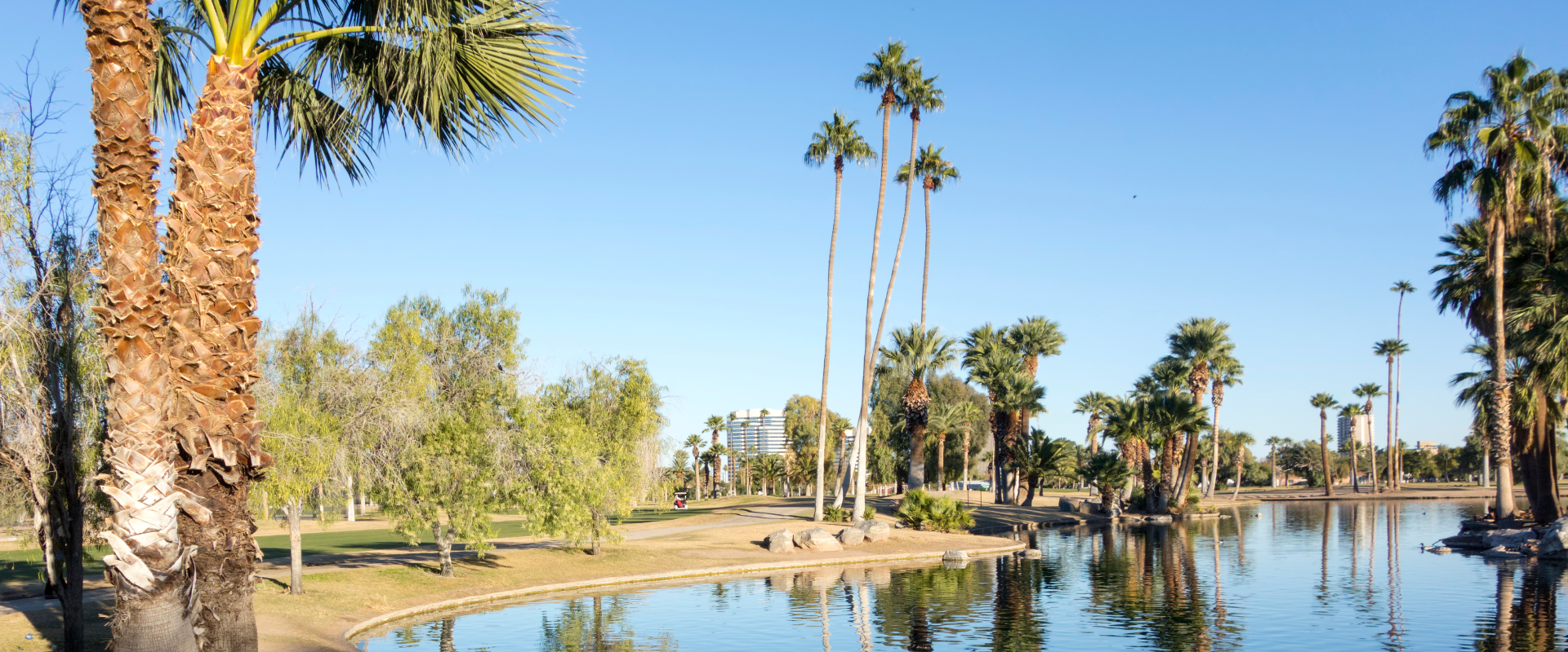 Dog-Friendly Phoenix: Things to do in Phoenix With a dog ...