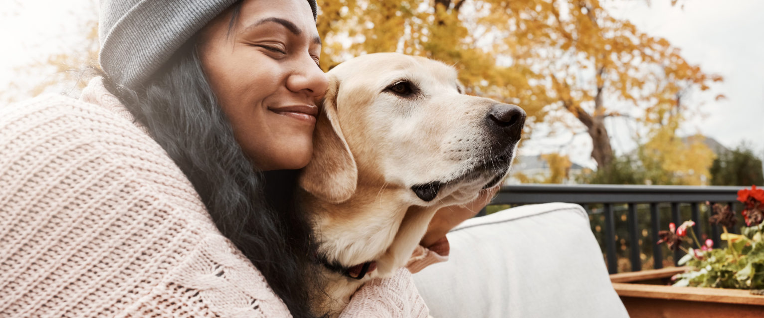 A Dog-Friendly Guide to Pittsburgh: Things to do in Pittsburgh With ...