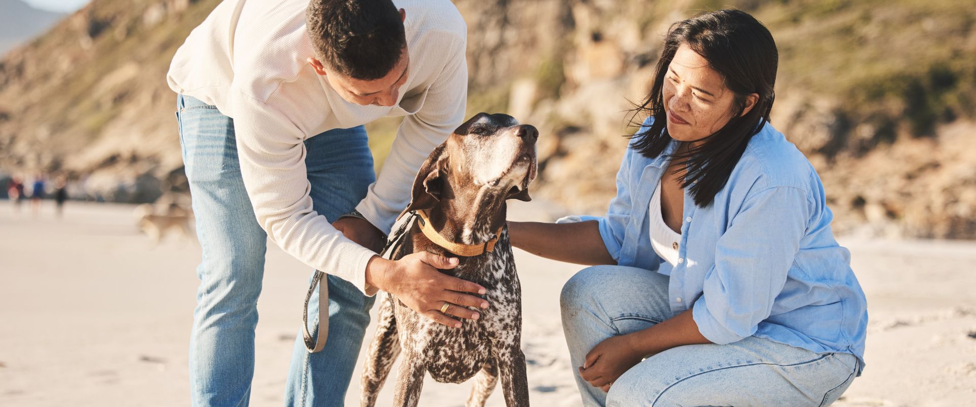 Pet Ownership Statistics | Pet Shelter Statistics & More ...