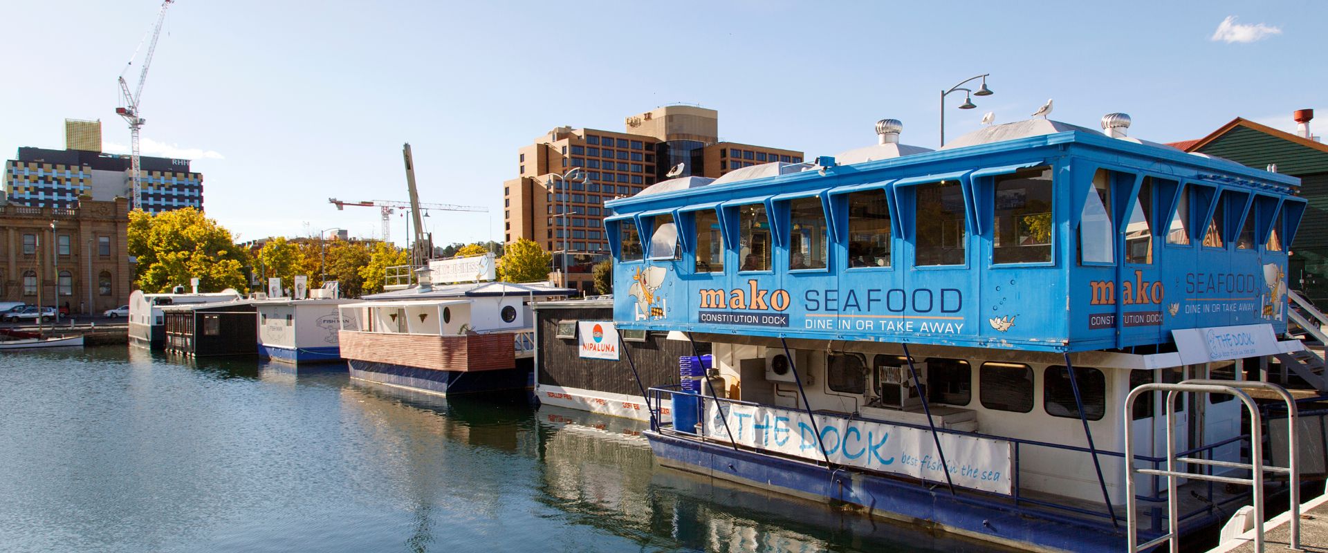 Dog-Friendly Hobart | Restaurants, Beaches, Cafes & Walks ...