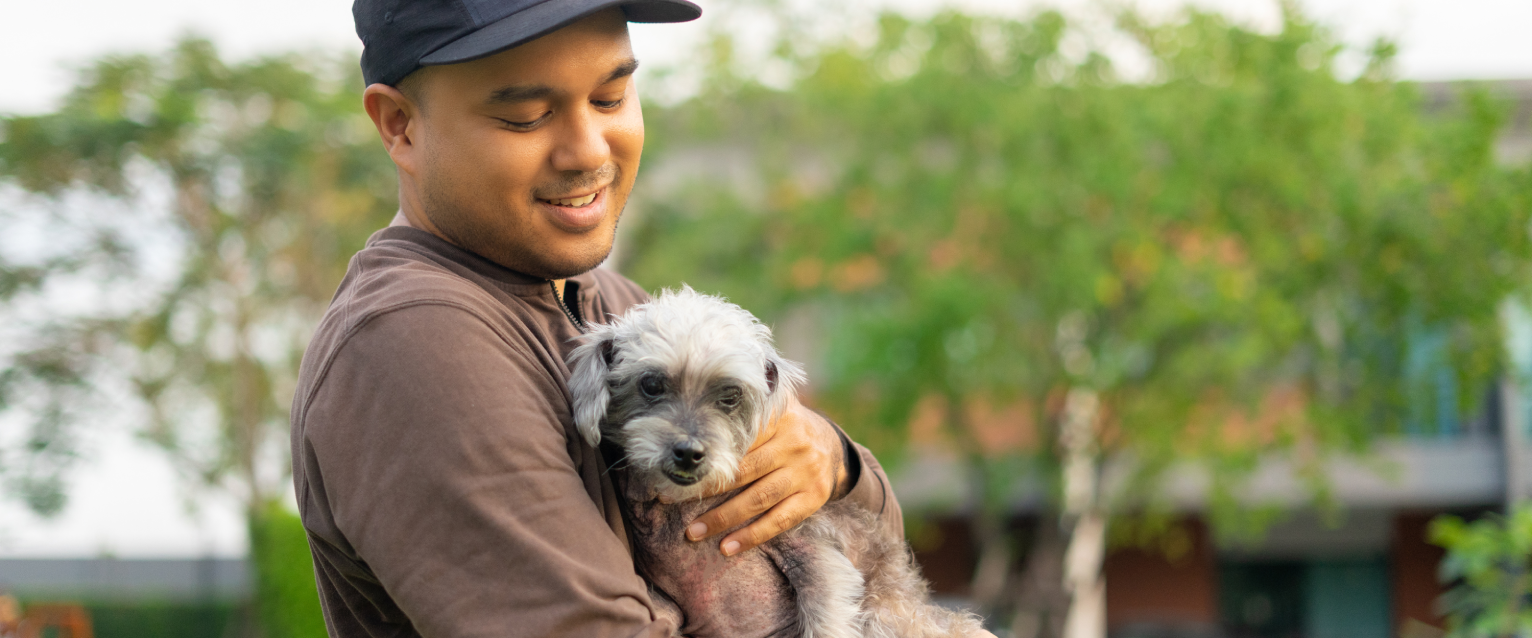 Dog-Friendly Guide to Boulder: Things to do in Boulder With a dog ...