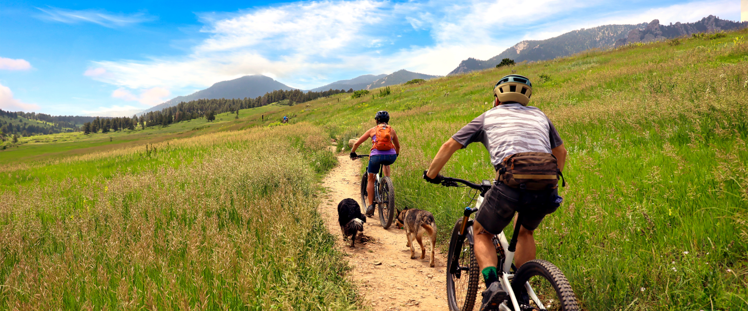Dog-Friendly Guide to Boulder: Things to do in Boulder With a dog ...