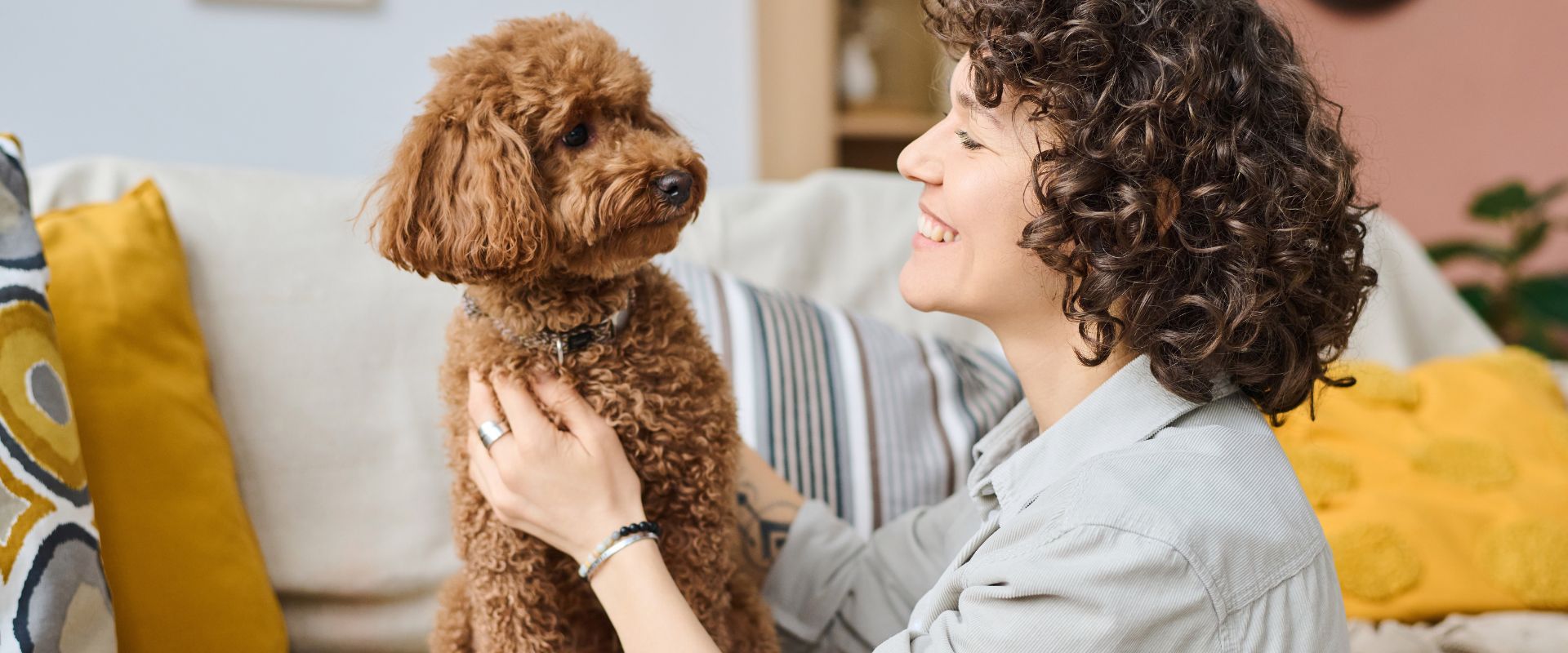 Dog Sitting Rates Explained | TrustedHousesitters.com