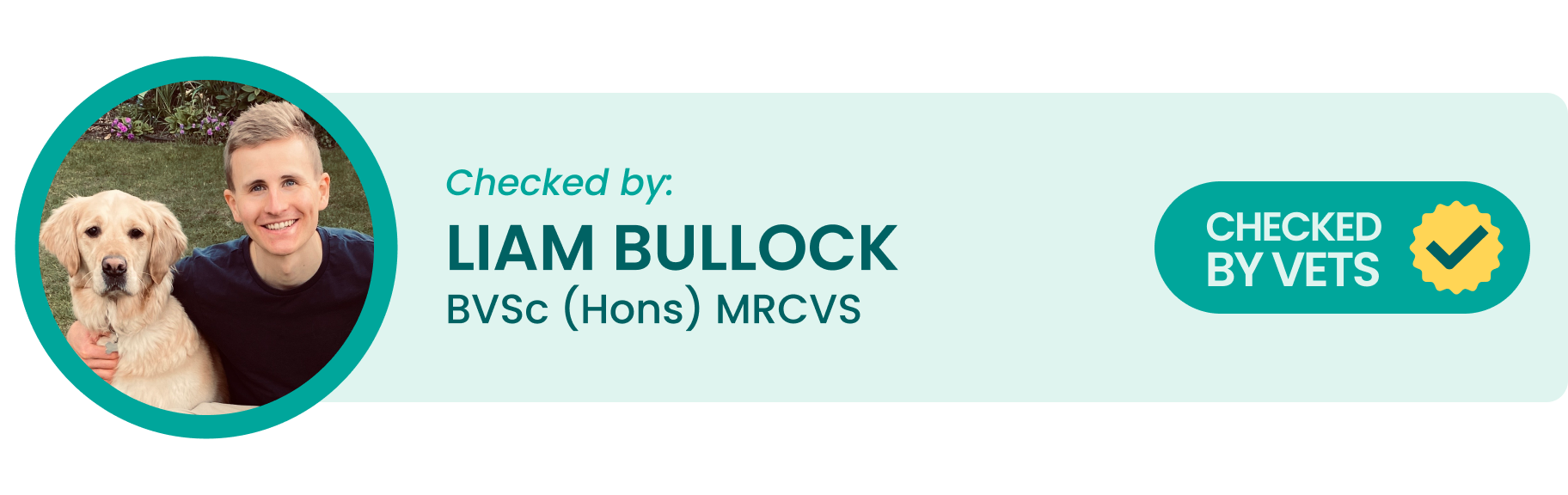 What Colors Do Cats Like and Can They Really See Them ...