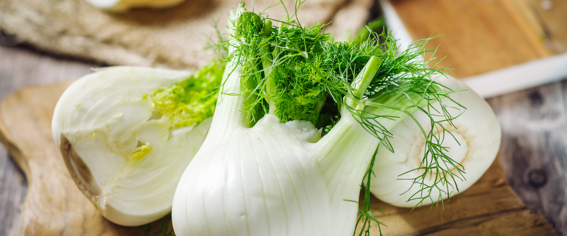 Foodie Facts: Can Dogs Eat Fennel? | TrustedHousesitters.com