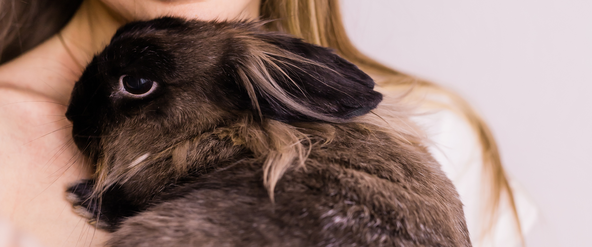 How Much Does Bunny Sitting Cost? | TrustedHousesitters.com