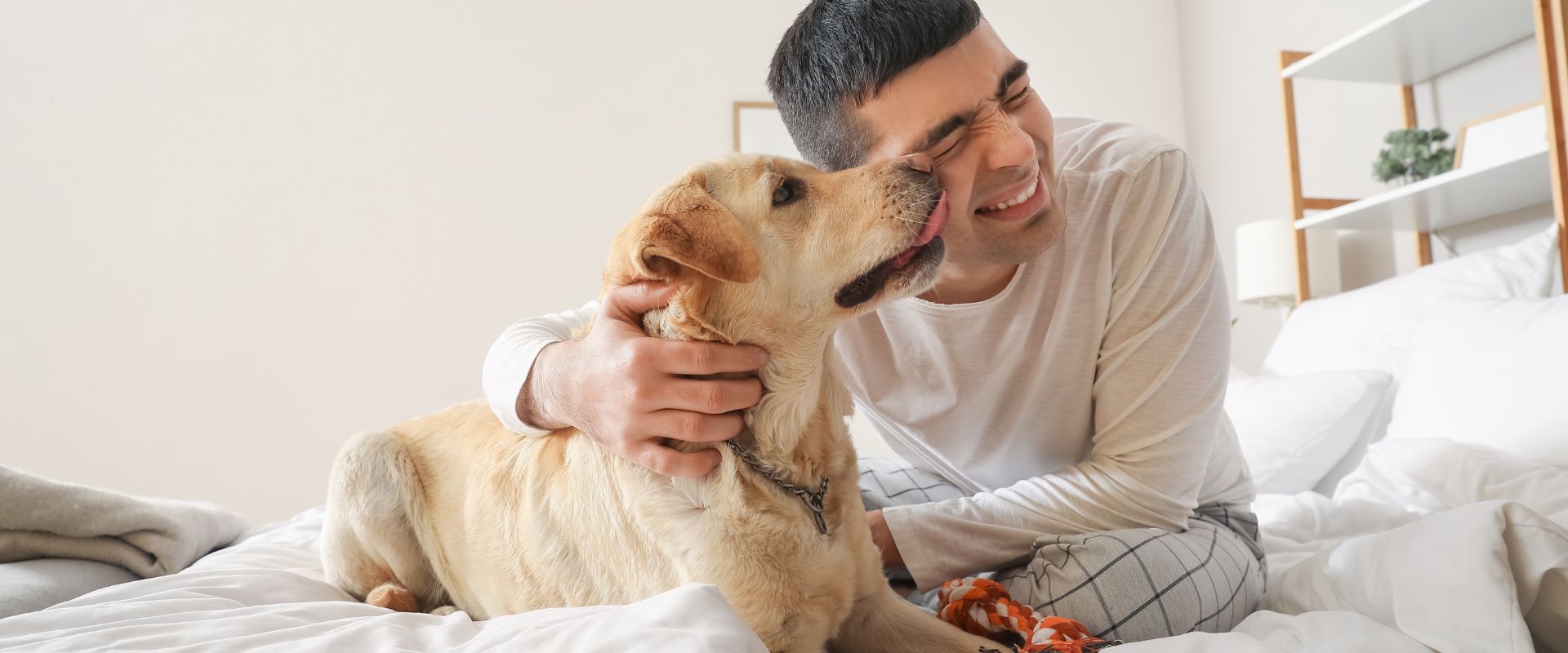 12 Reasons Why Your Dog is Extra Affectionate in the Morning ...