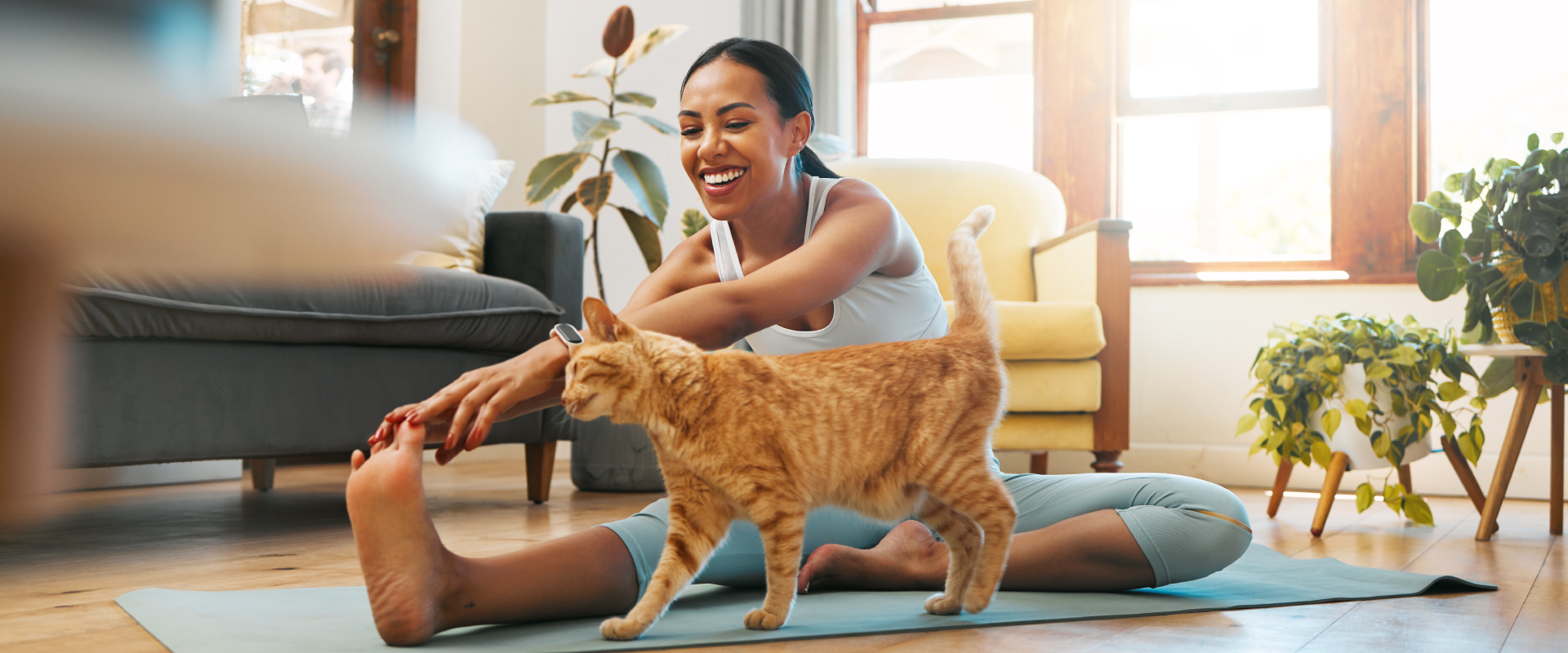 10 Signs Your Cat has Imprinted on You | TrustedHousesitters.com