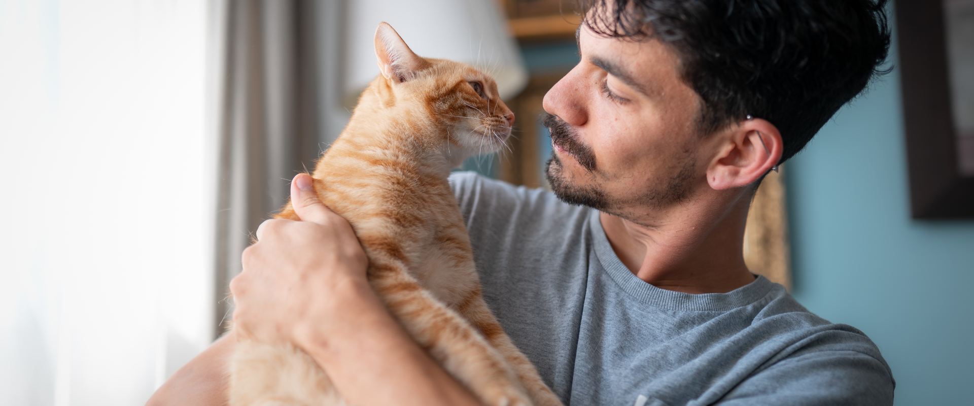 10 Signs Your Cat has Imprinted on You | TrustedHousesitters.com