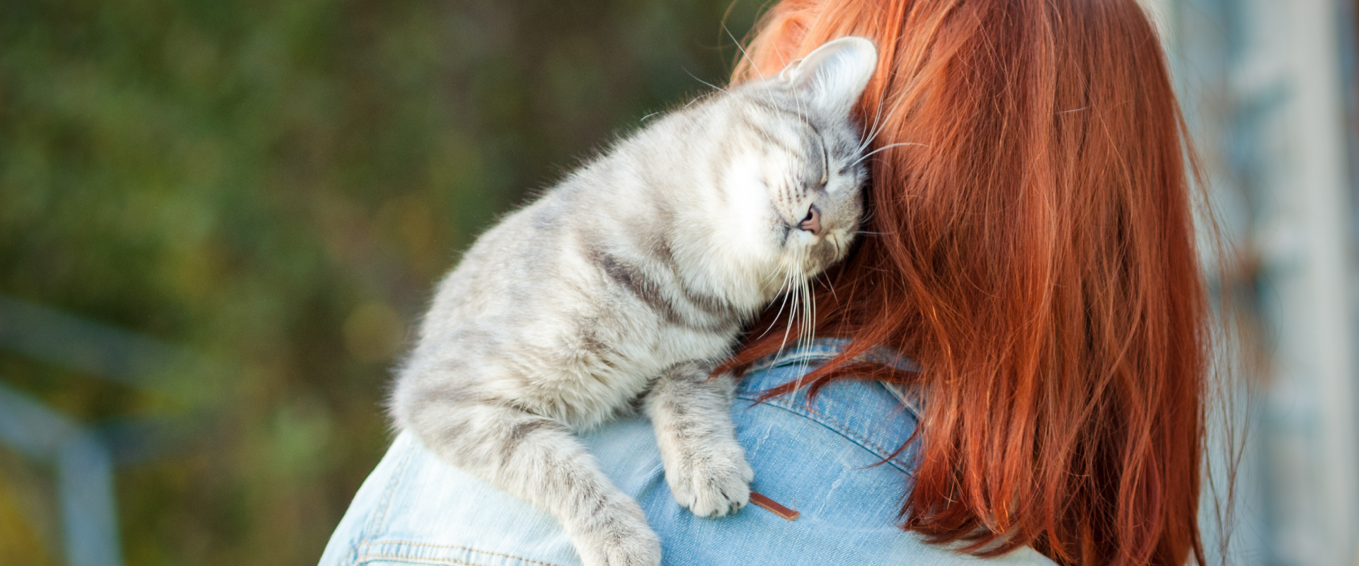 10 Signs of a Clingy Cat or Velcro Kitty | TrustedHousesitters.com