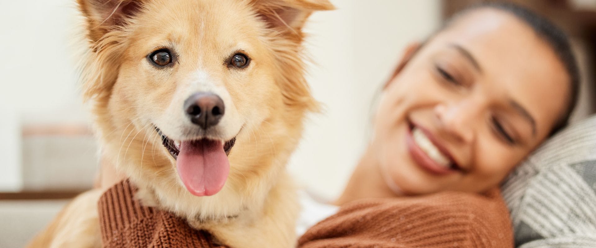 Expert Pet Sitting Tips TrustedHousesitters expert-pet-sitting-tips-trustedhousesitters