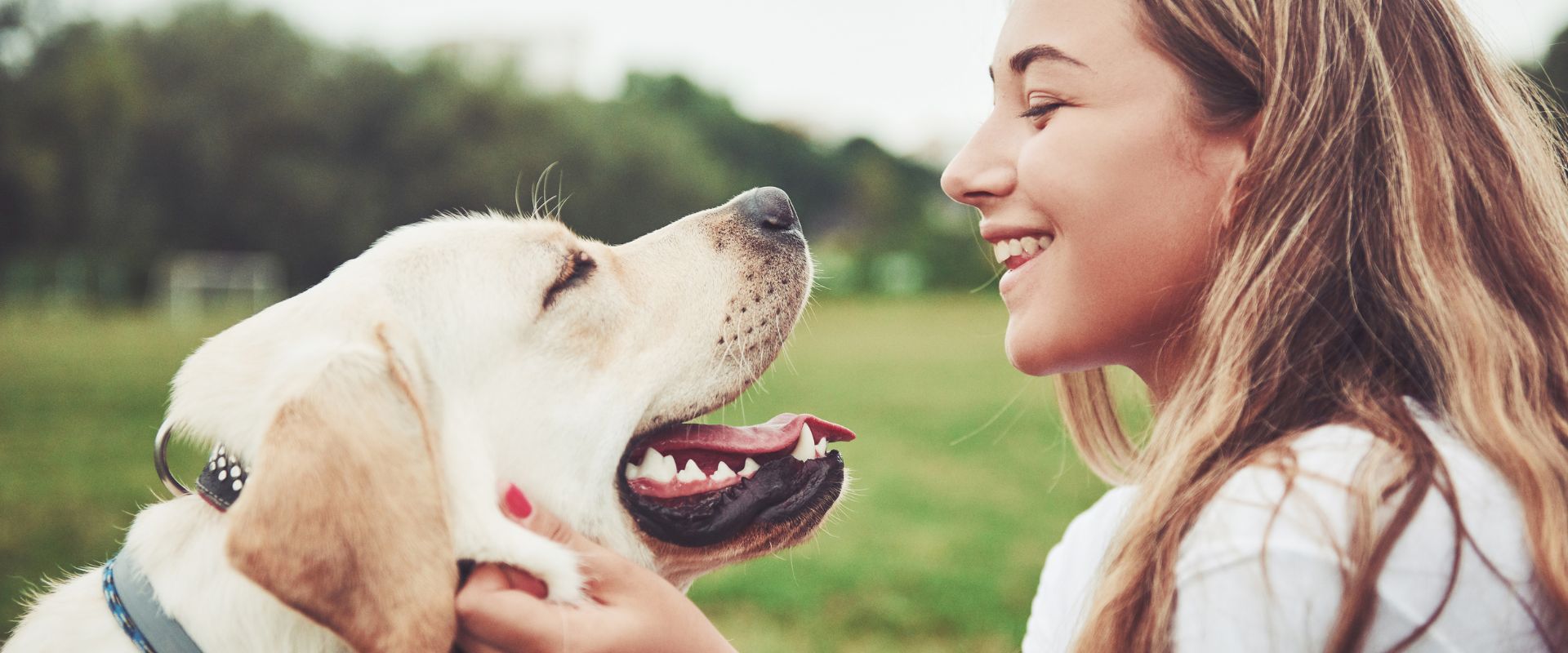 The Bond Between Dogs and Humans Explained | TrustedHousesitters.com