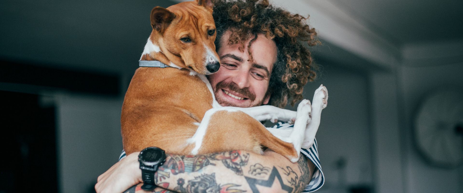 The Bond Between Dogs and Humans Explained | TrustedHousesitters.com