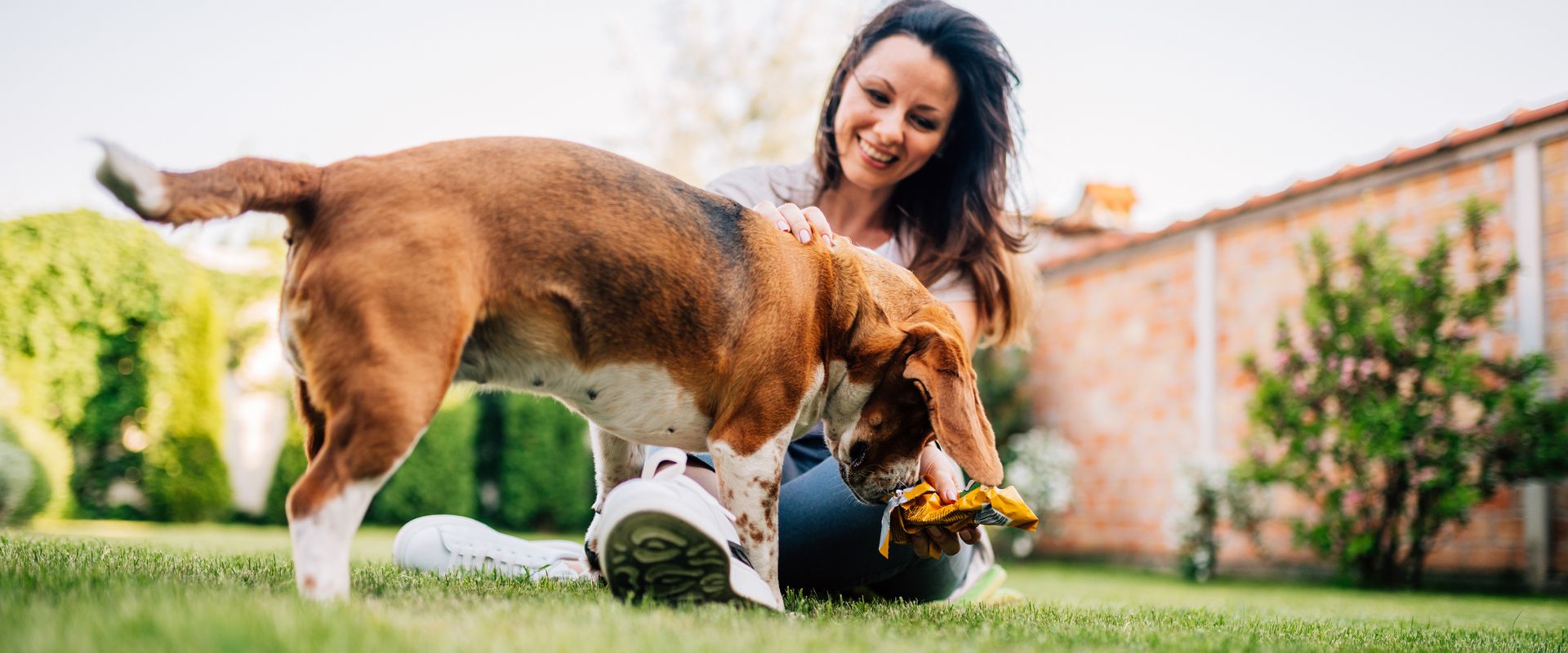 House Sitter Checklist | Downloadable Sitter Checklist ...