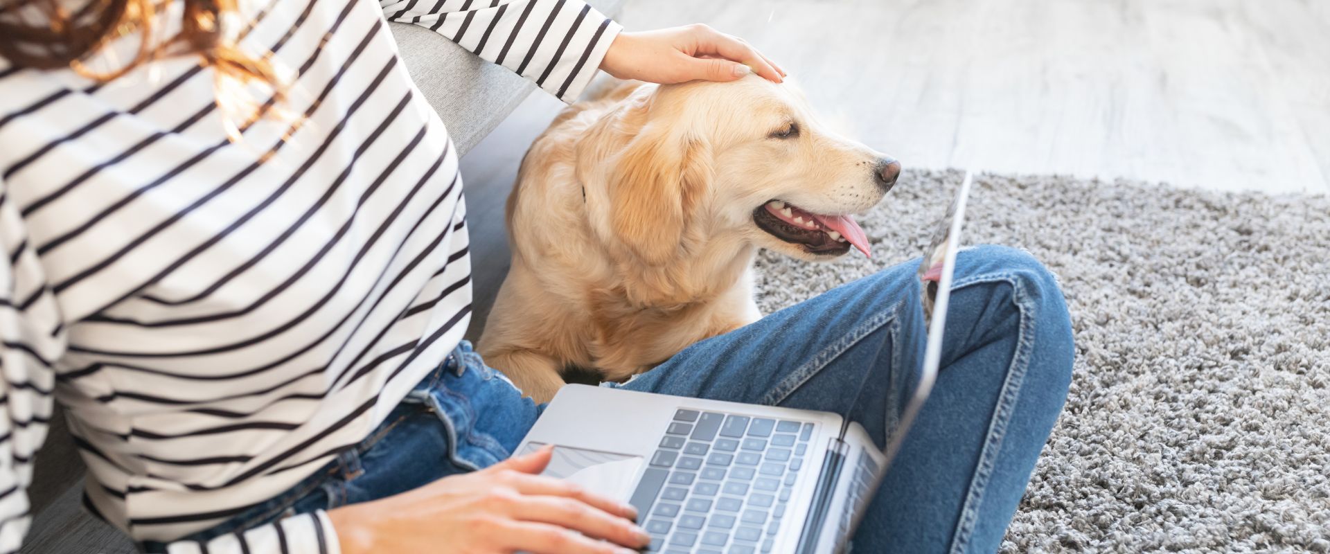 House Sitting Application Message: Tips and Advice ...