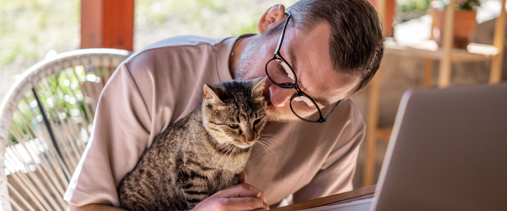 House Sitting Application Message: Tips and Advice ...