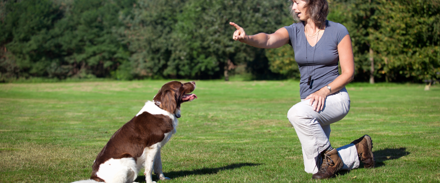 Dog Training Hand Signals For Dogs | Canine Hand Signals ...