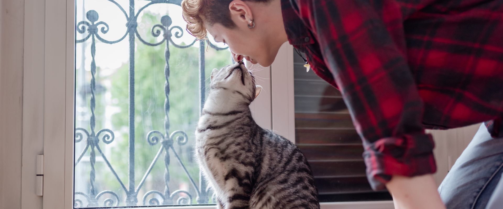 Are Male Cats More Affectionate Than Female Cats? | TrustedHousesitters.com