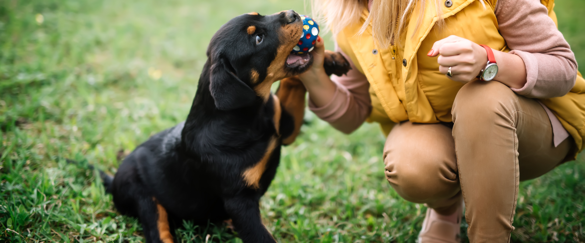 Play Nice! Appropriate Ways to Play With Dogs | TrustedHousesitters.com