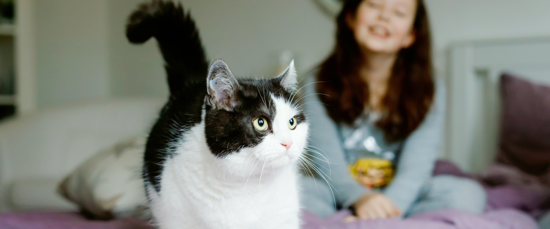 How to Talk to Cats and Become a Cat Translator | TrustedHousesitters.com