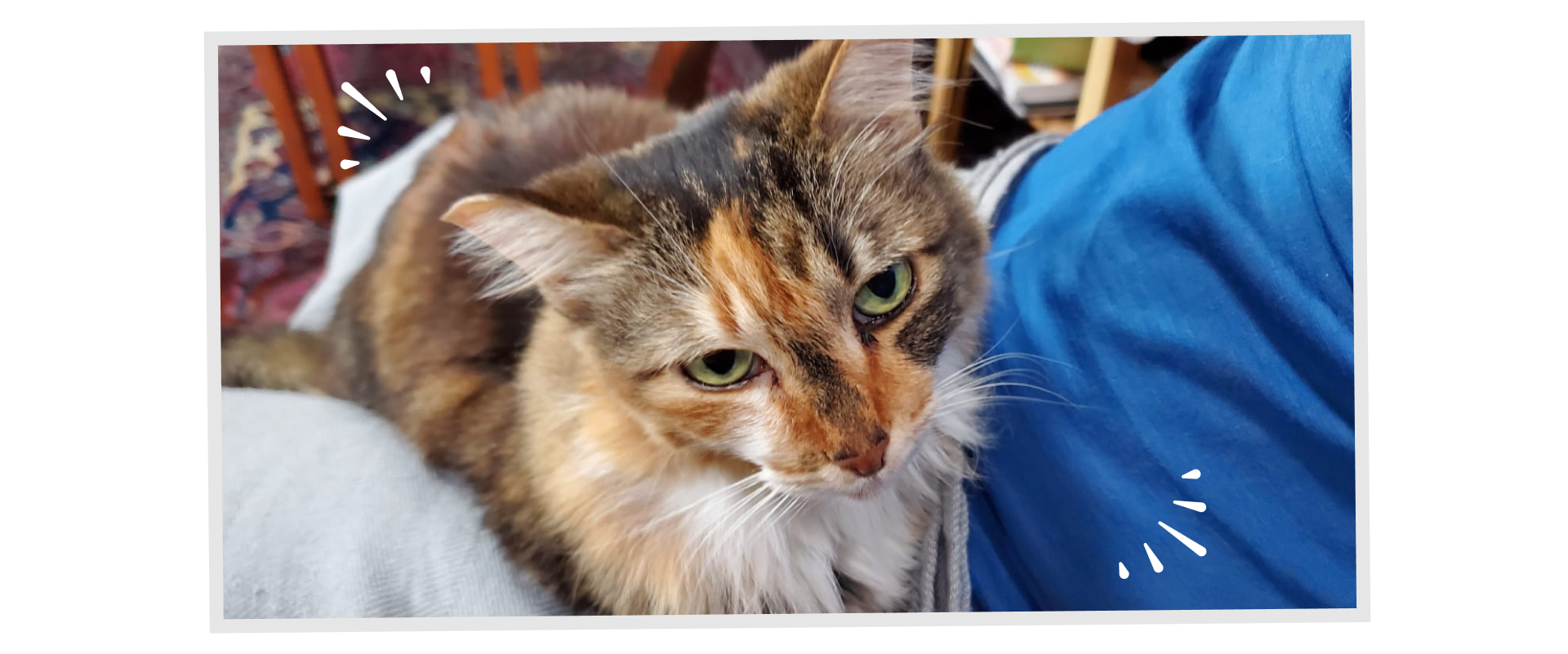 A Great First Experience From Two Seasoned Sitters - Ali & Mat's Story ...