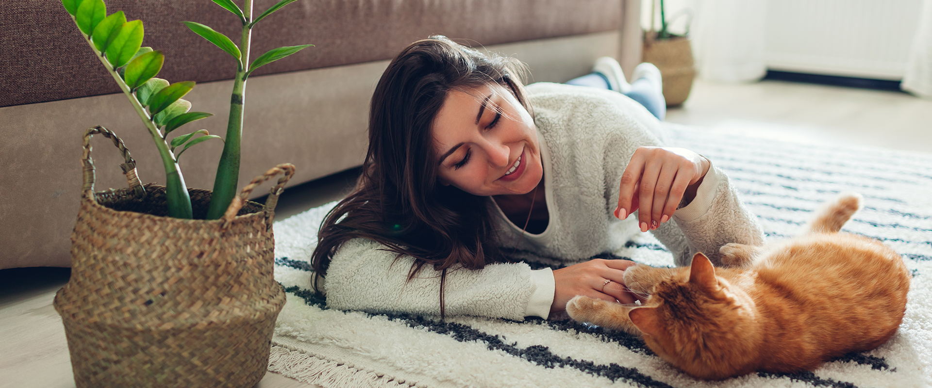 How to Get a Cat’s Attention | TrustedHousesitters.com