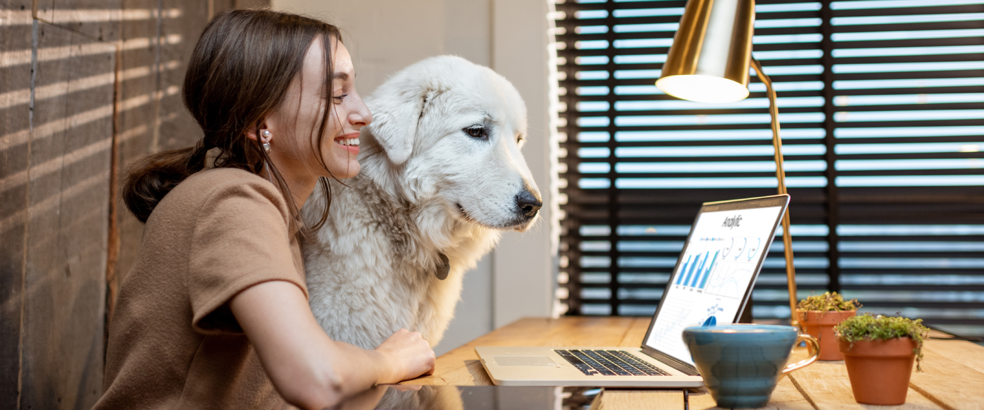 Top 10 tips for adopting a dog with Kendall Schulz ...