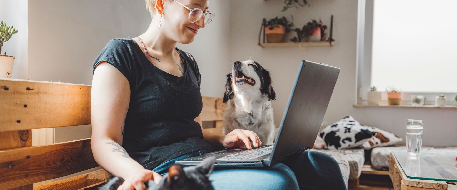 Write the perfect house sitter profile | TrustedHousesitters.com