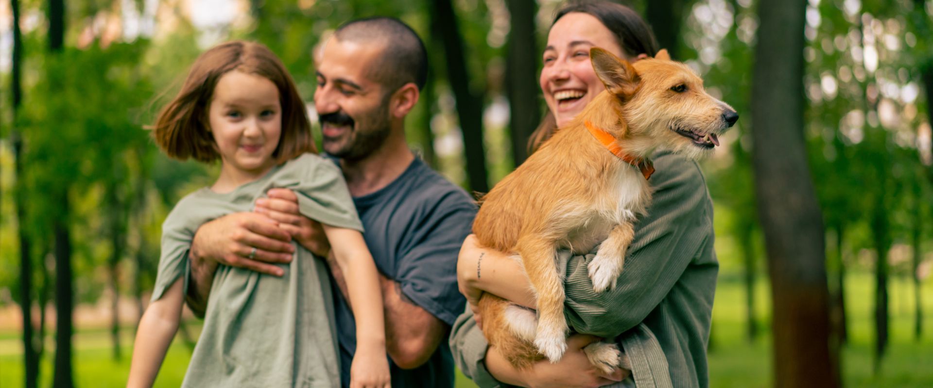 Write the perfect house sitter profile | TrustedHousesitters.com