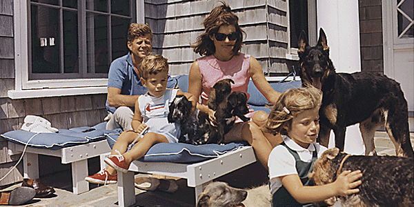 10+ White House Dogs You Need to Know About | TrustedHousesitters.com