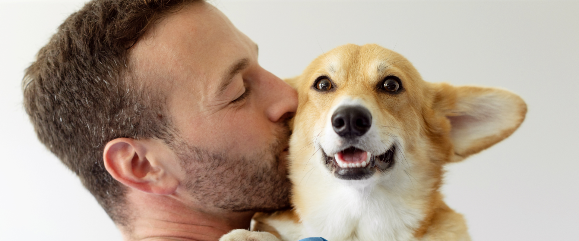 Finding reliable references for dog sitting | TrustedHousesitters.com