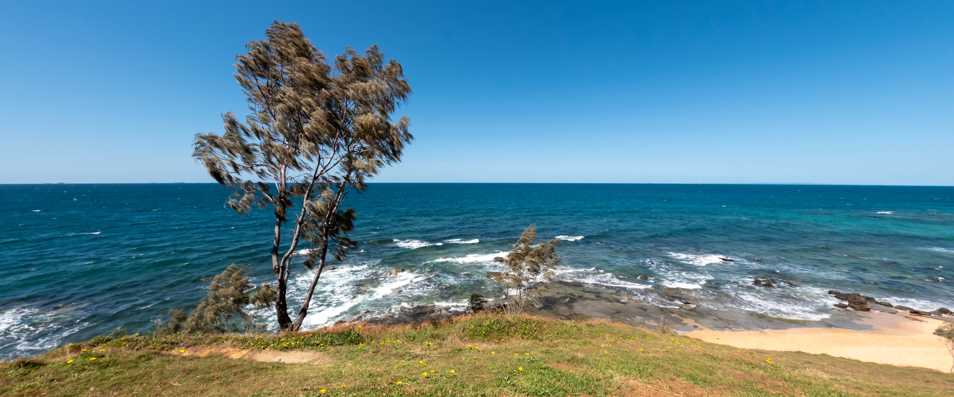 A Guide to Dog-Friendly Caloundra, Queensland | TrustedHousesitters.com