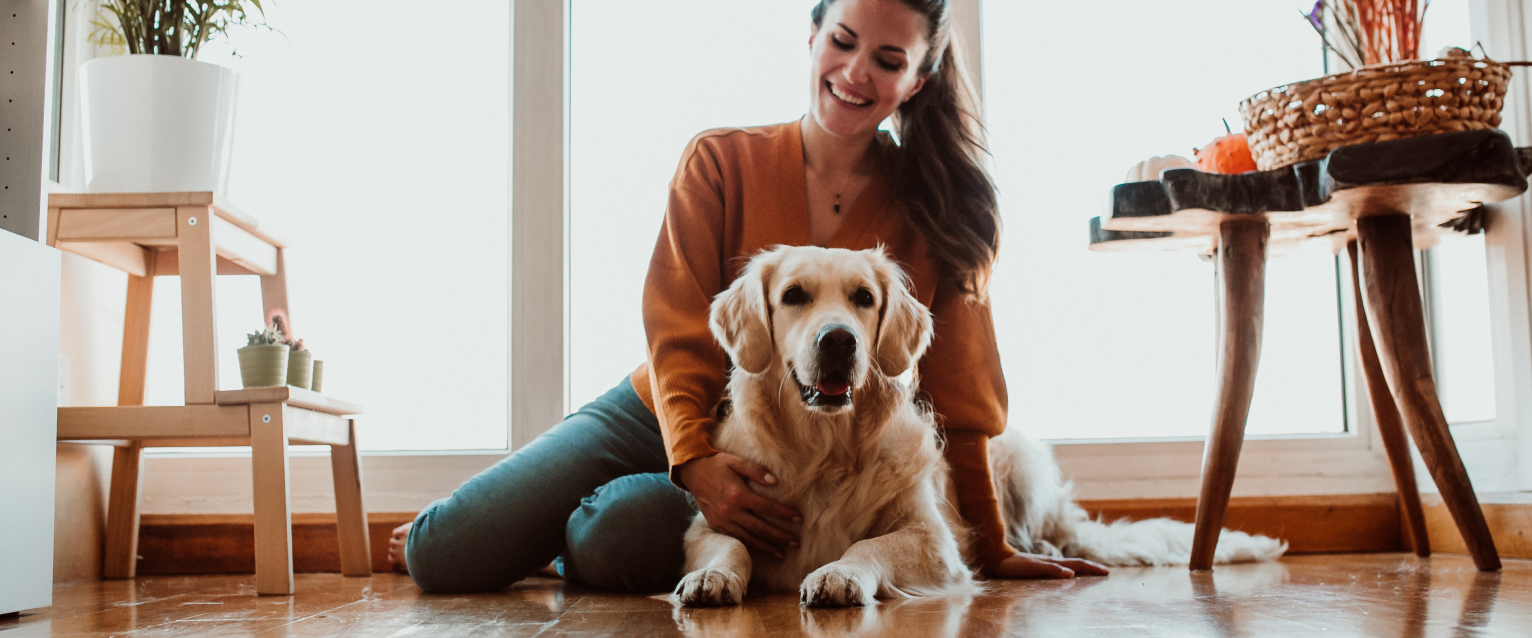 Dog Friendly Kelowna: Things To Do in Kelowna With a Dog ...