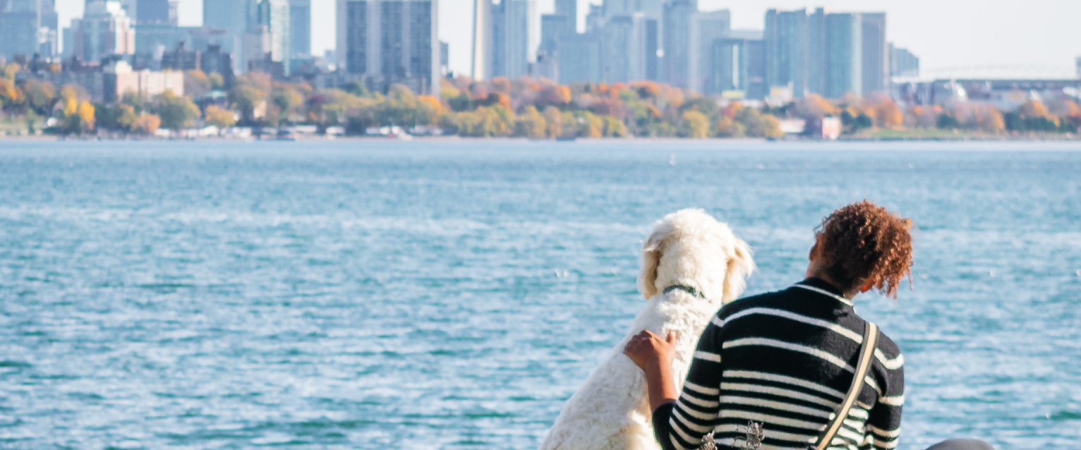 Dog Friendly Toronto: Things To Do in Toronto With a Dog ...