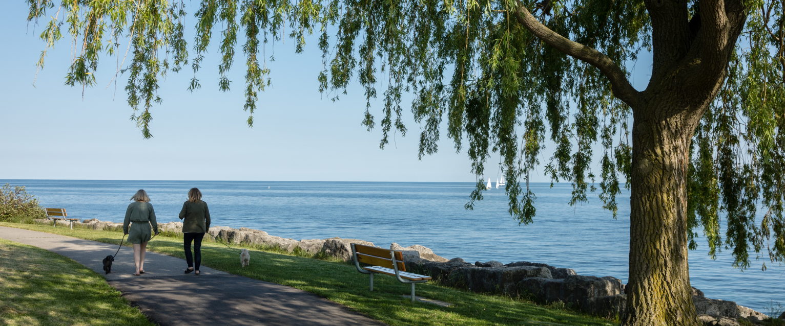 Dog Friendly Toronto: Things To Do in Toronto With a Dog ...
