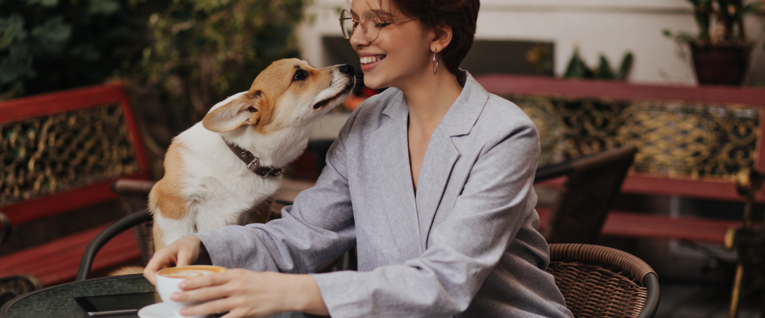 Dog Friendly Toronto: Things To Do in Toronto With a Dog ...