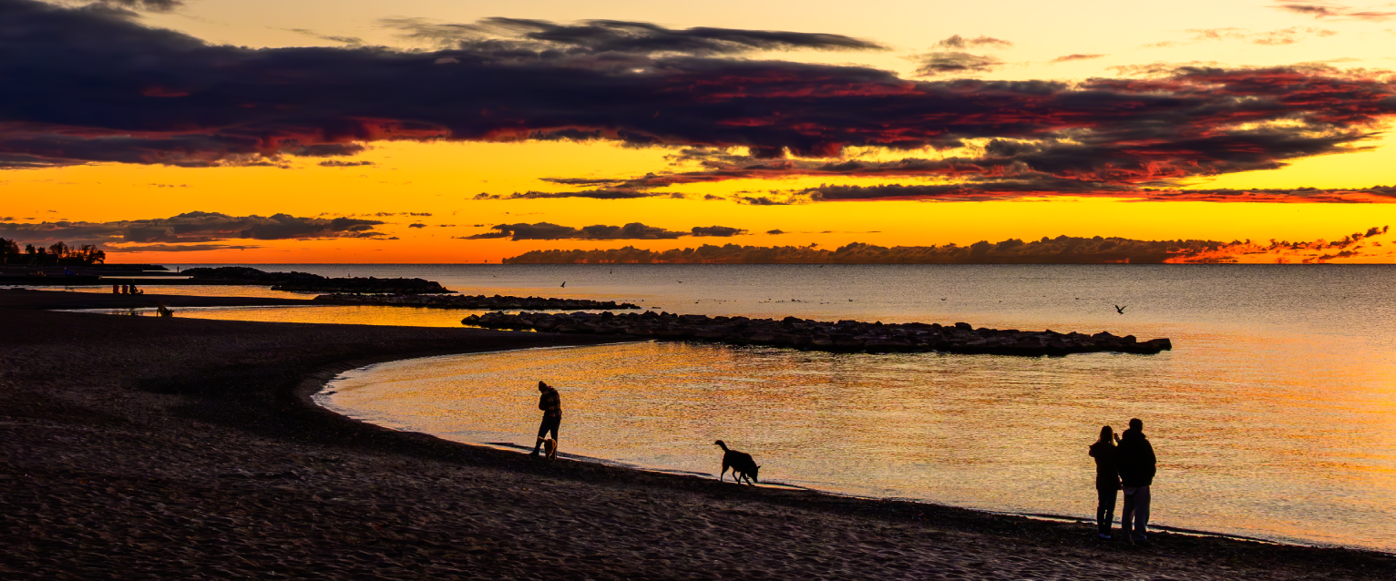 Dog Friendly Toronto: Things To Do in Toronto With a Dog ...