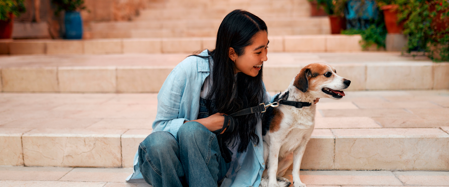 Dog Friendly Toronto: Things To Do in Toronto With a Dog ...