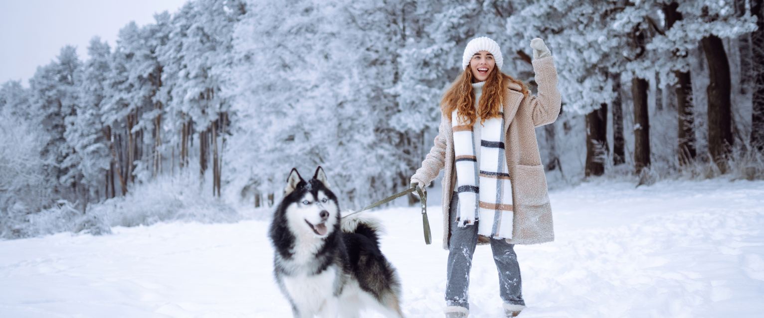 Dog Friendly Toronto: Things To Do in Toronto With a Dog ...